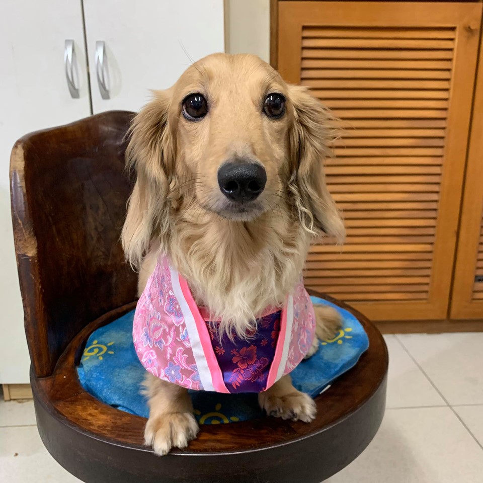 風格圍兜【嬌羞少女】_HEY!YEH