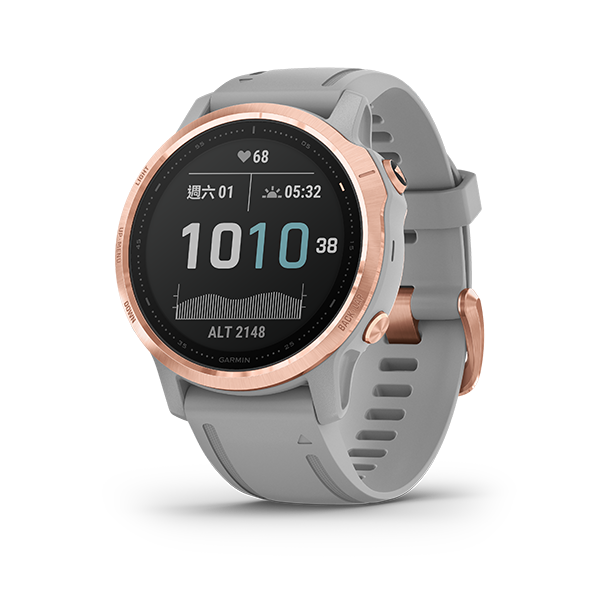 GARMIN fēnix 6S_360 Care