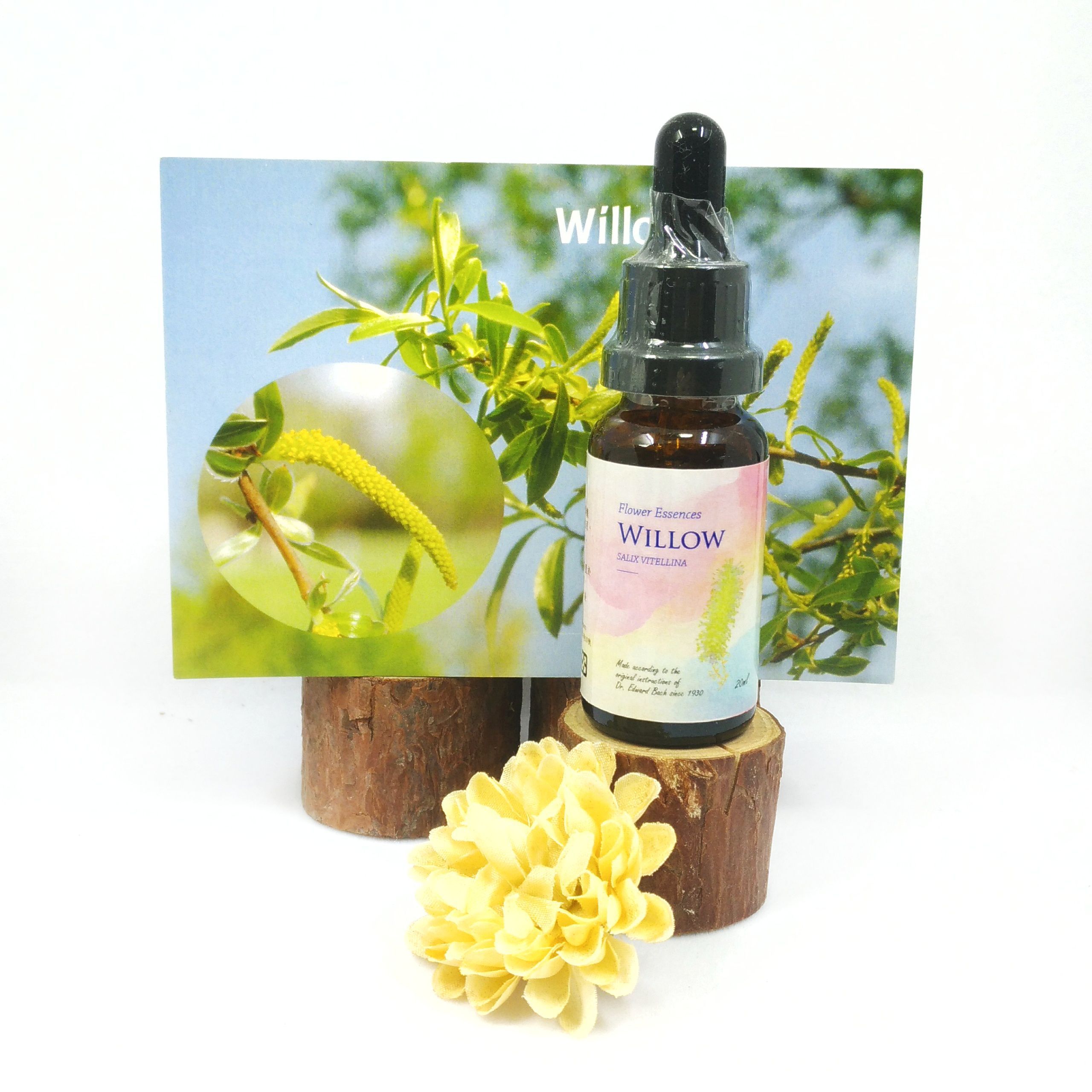 【Willow 楊柳花精】絕粹30CH巴赫花精／Bach Flower Essence／20mL_食在自在心空間Spaco
