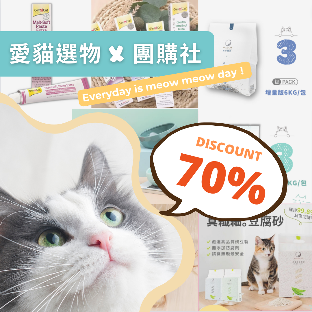 OLLIE CAT 愛貓選物_團購社