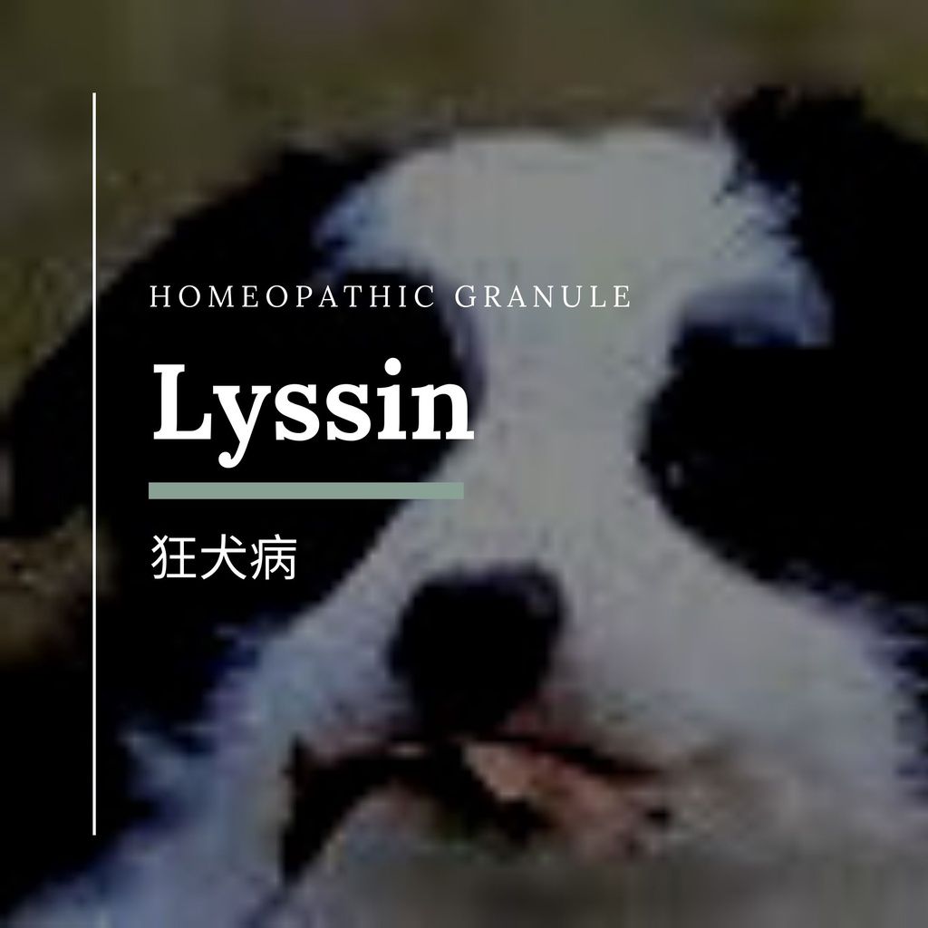 順勢糖球－狂犬 Lyssin／Lyssinum（狂躁焦慮對水光敏感、安撫心神）_食在自在心空間Spaco