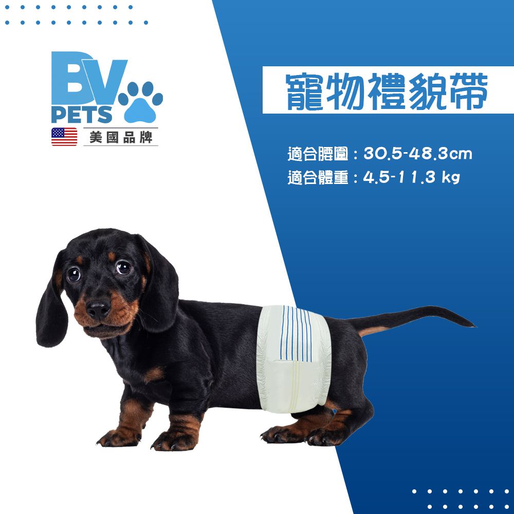 寵物禮貌帶_BV PETS 寵物生活家 - 線上購物網
