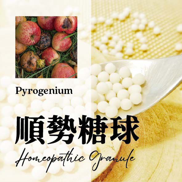 順勢糖球【Pyrogenium／Pyrogen 炙熱質】熱徵 急難救助／Homeopathic Granule／_食在自在心空間Spaco