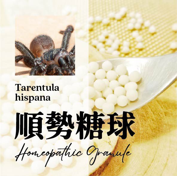 順勢糖球【Tarentula hispana 西班牙狼蛛】Homeopathic Granule／食在自在心空間_食在自在心空間Spaco