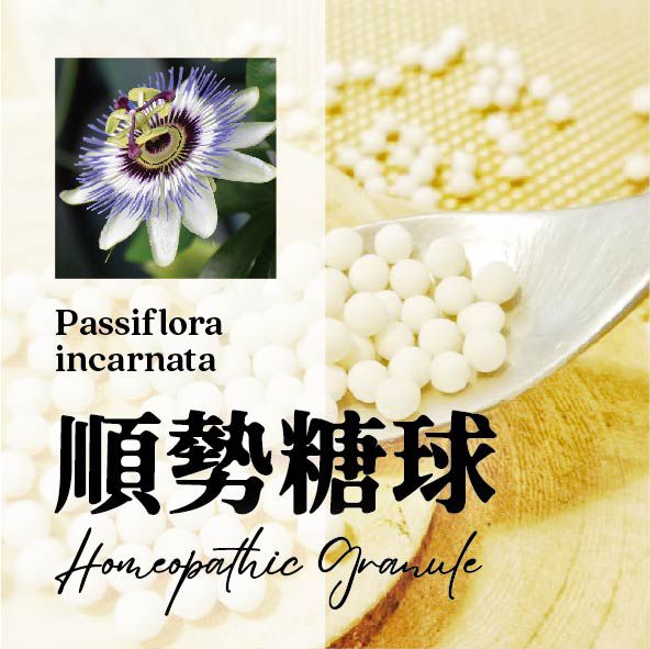 順勢糖球【Passiflora incarnata 西番蓮】睡眠／減輕壓力／Homeopathy／食在自在_食在自在心空間Spaco